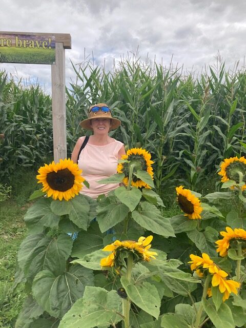 October Wellness Challenge | NBSRT