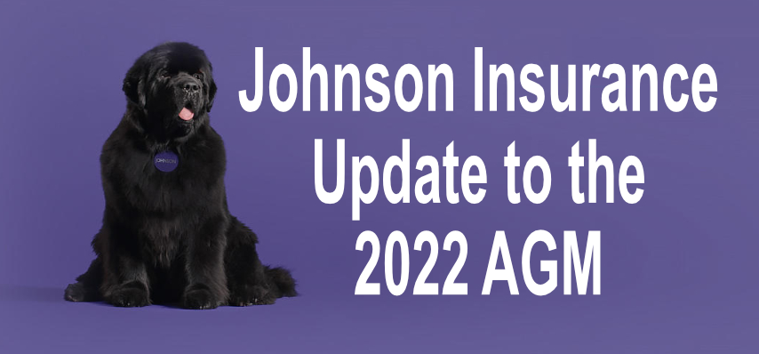 Johnson Insurance Presentation – AGM 2022 | NBSRT